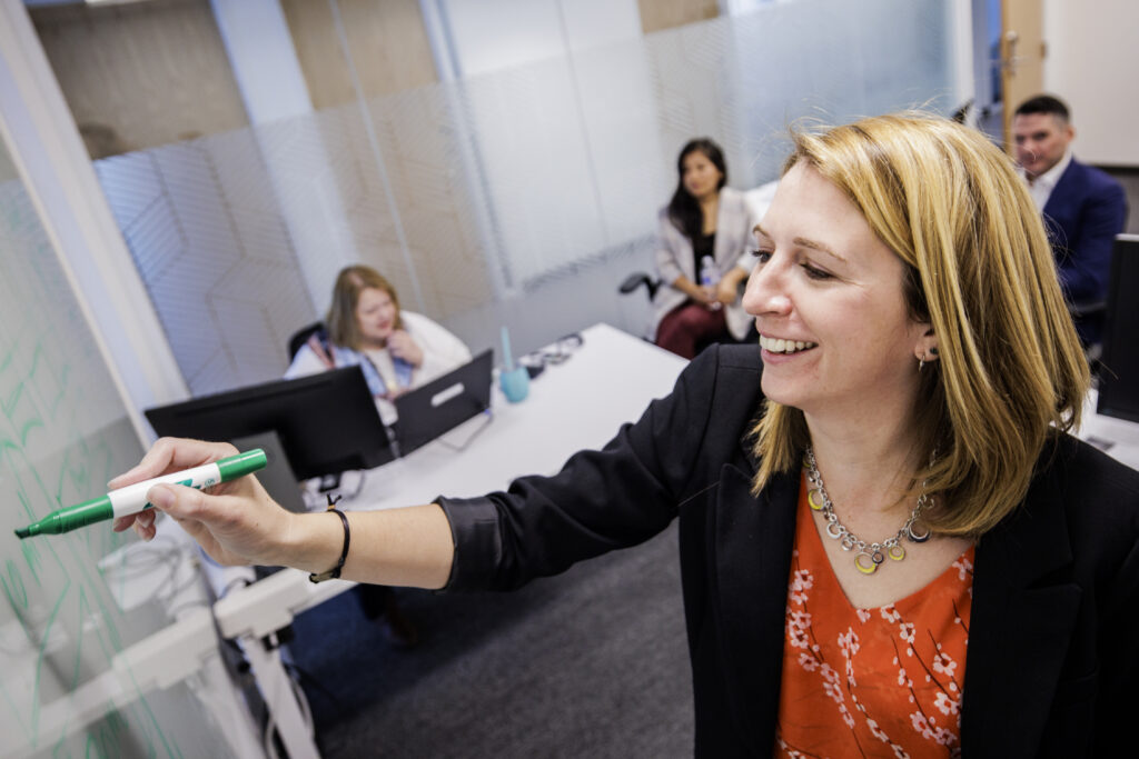 What We Do – DIS Consulting