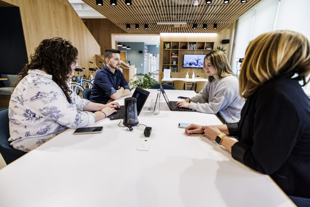 What We Do – DIS Consulting